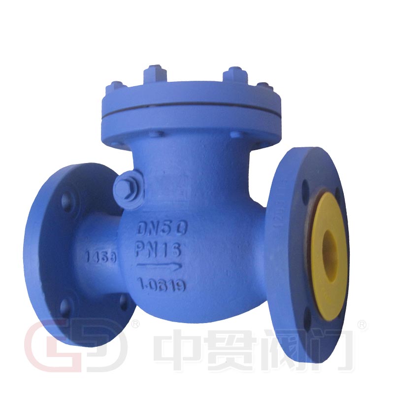 DIN Standard Check Valve - Zhejiang Zhongguan Valve Manufacture Co., Ltd